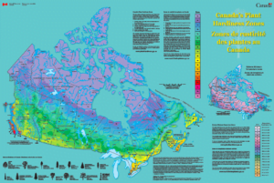 How to Find Your Frost Dates & Growing Zone