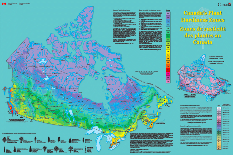 How to Find Your Frost Dates & Growing Zone