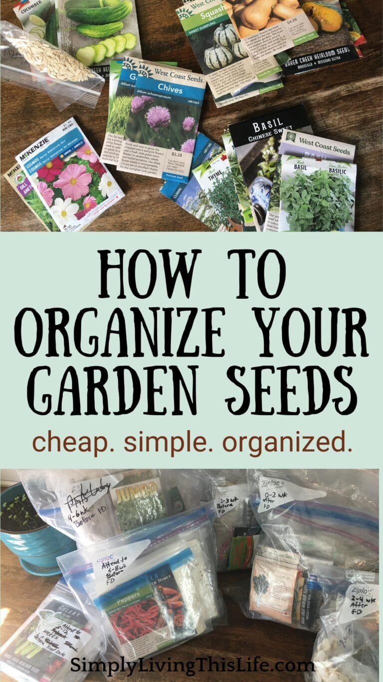 The Best Way to Organize Your Garden Seeds Cheaply