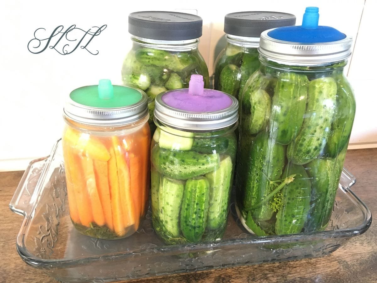 How to Make the Best Lacto Fermented "Dill" Pickles Recipe