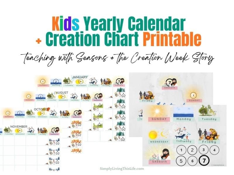Learn the days of the week with a Creation Week Editable Yearly ...